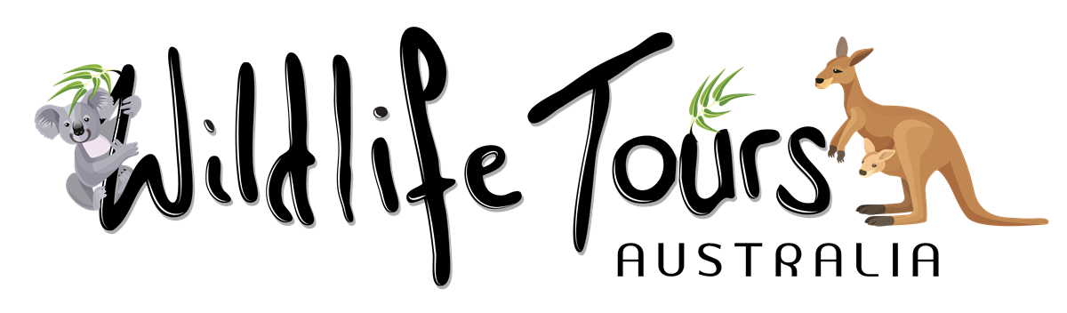Wildlife Tours Australia Pty Ltd